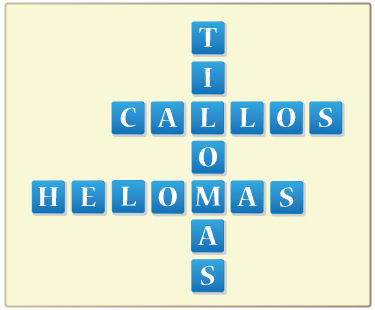 Helomas, Tilomas, Callos - Clínica del Pie Alicante